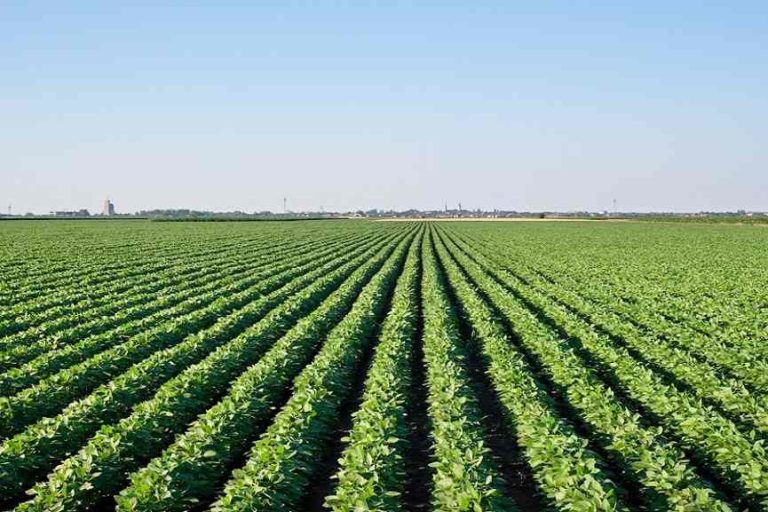 Silal & Desolenator to jointly launch solar-powered desalination ...